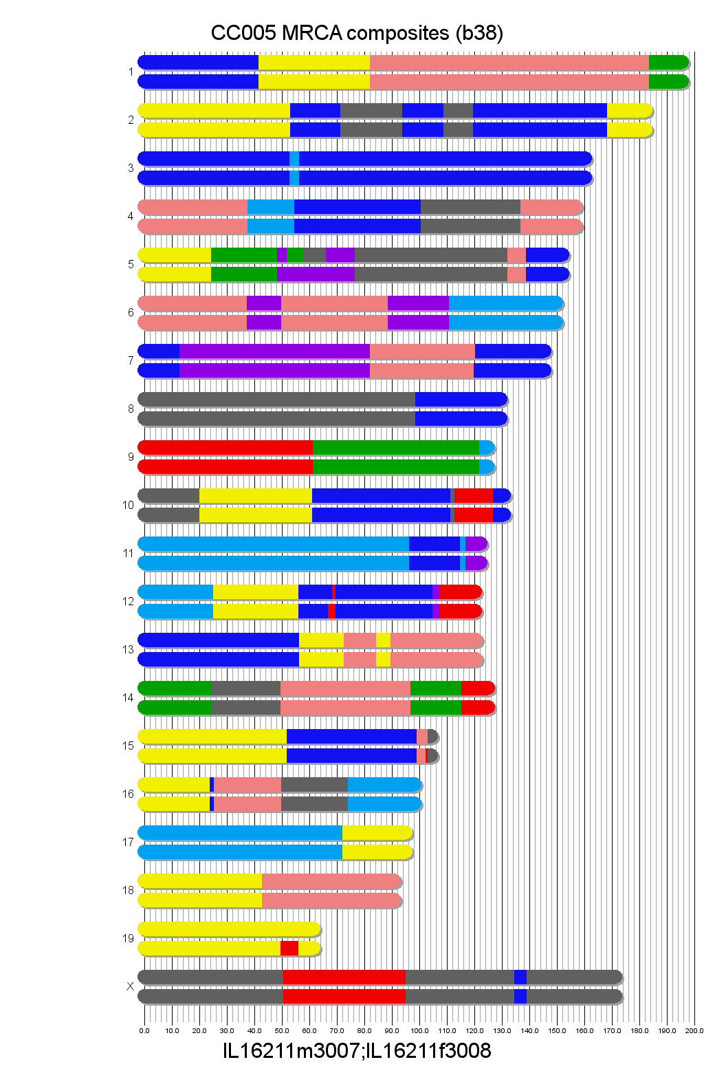 Collaborative Cross Genomes