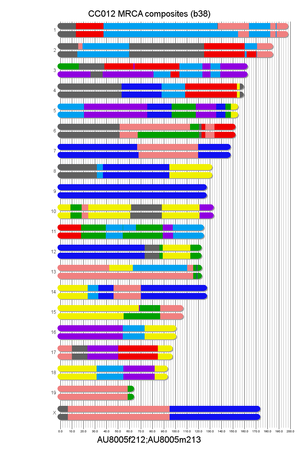 Collaborative Cross Genomes