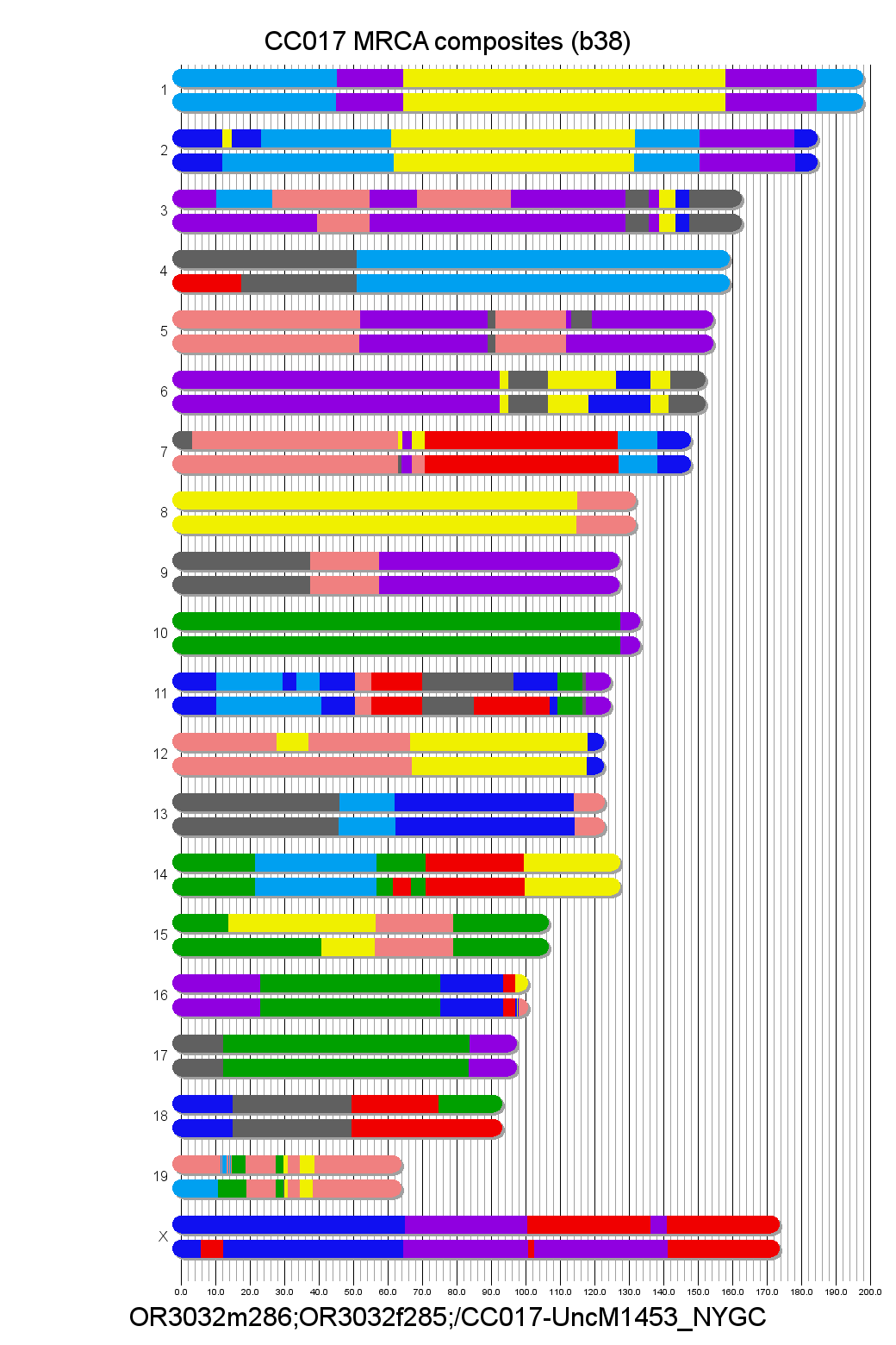 Collaborative Cross Genomes