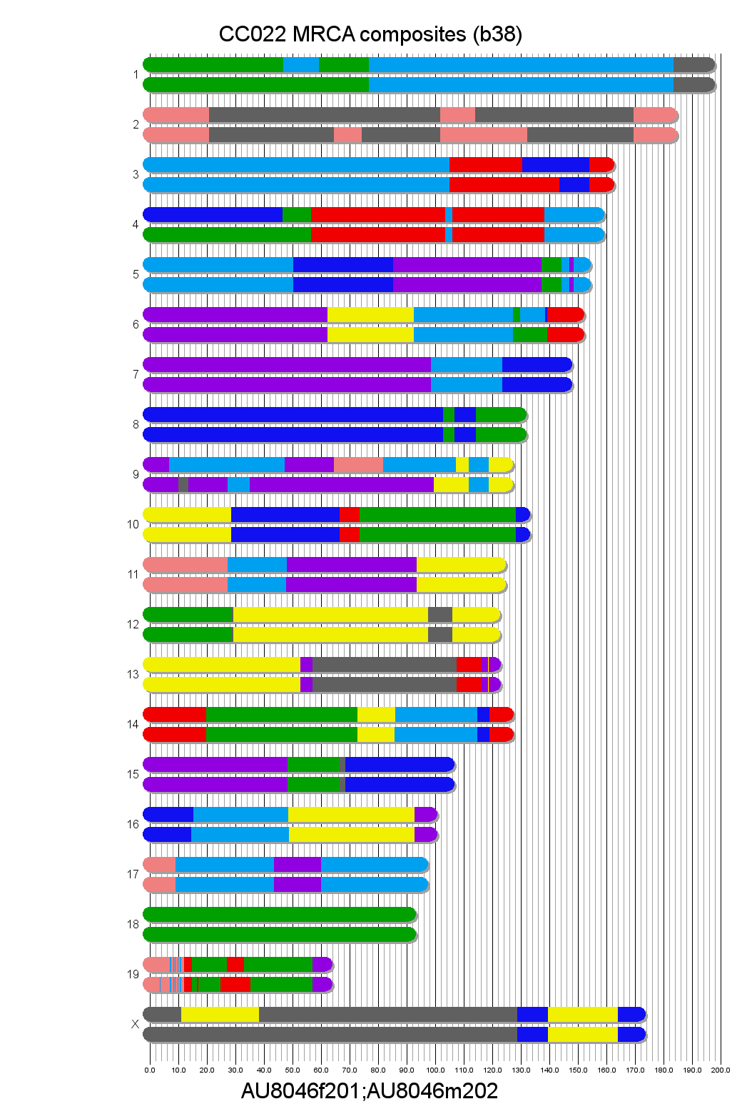 Collaborative Cross Genomes