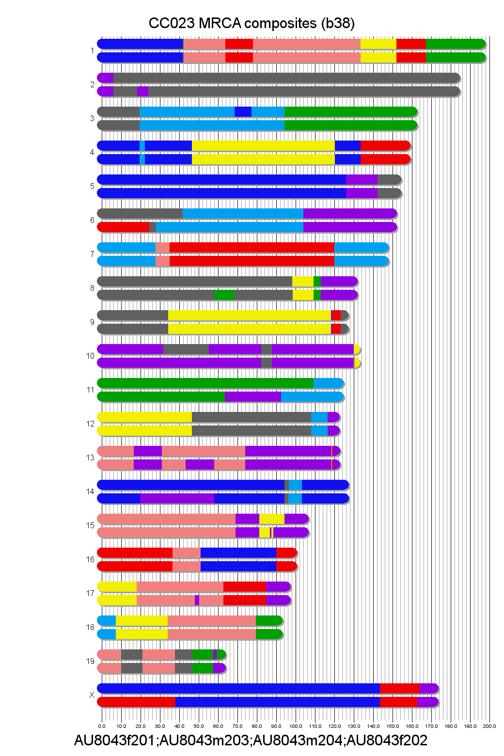Collaborative Cross Genomes