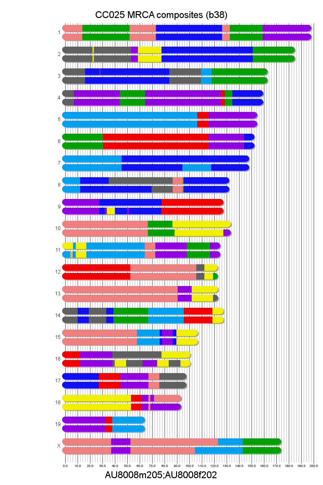 Collaborative Cross Genomes