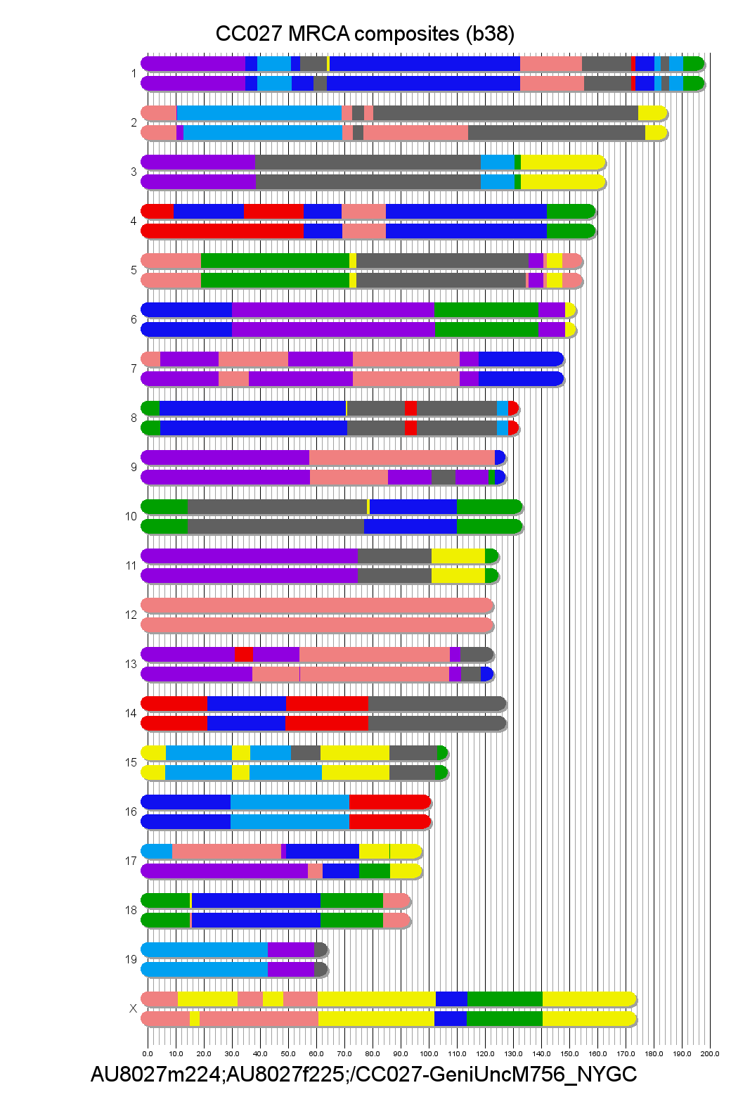 Collaborative Cross Genomes