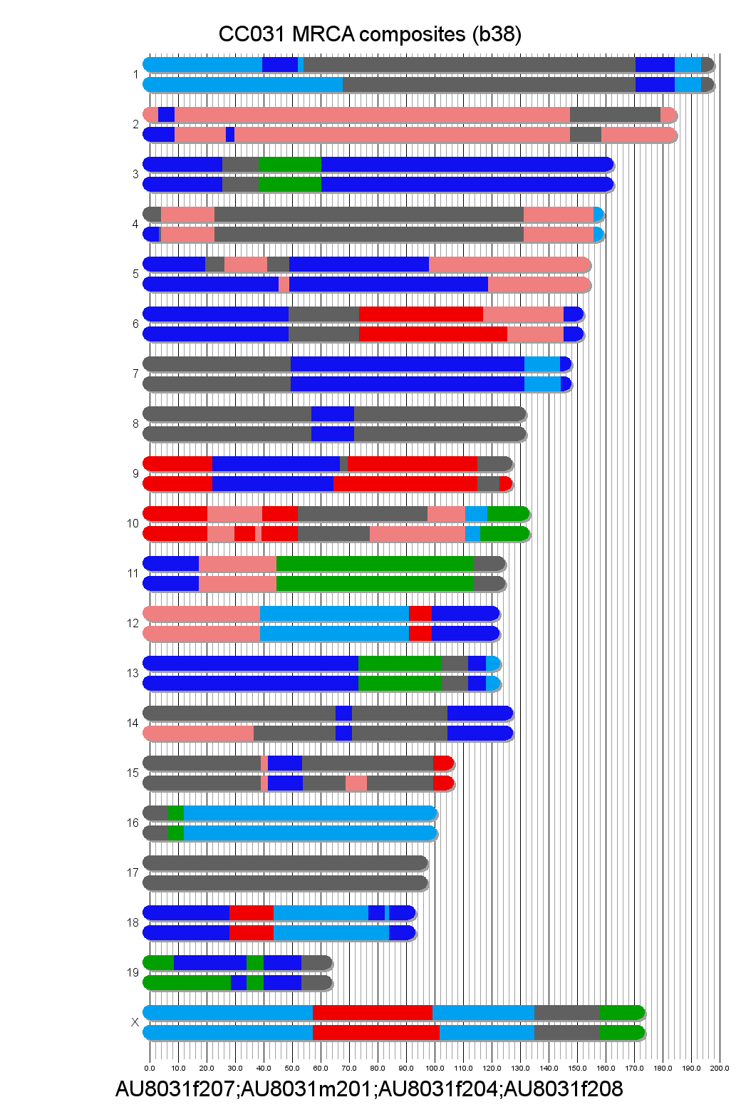 Collaborative Cross Genomes