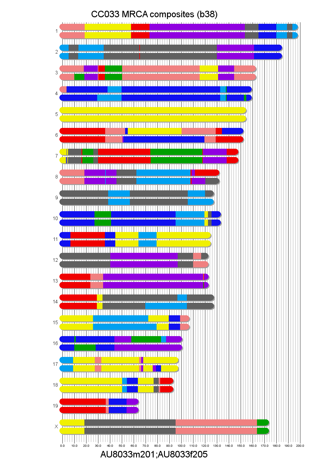 Collaborative Cross Genomes