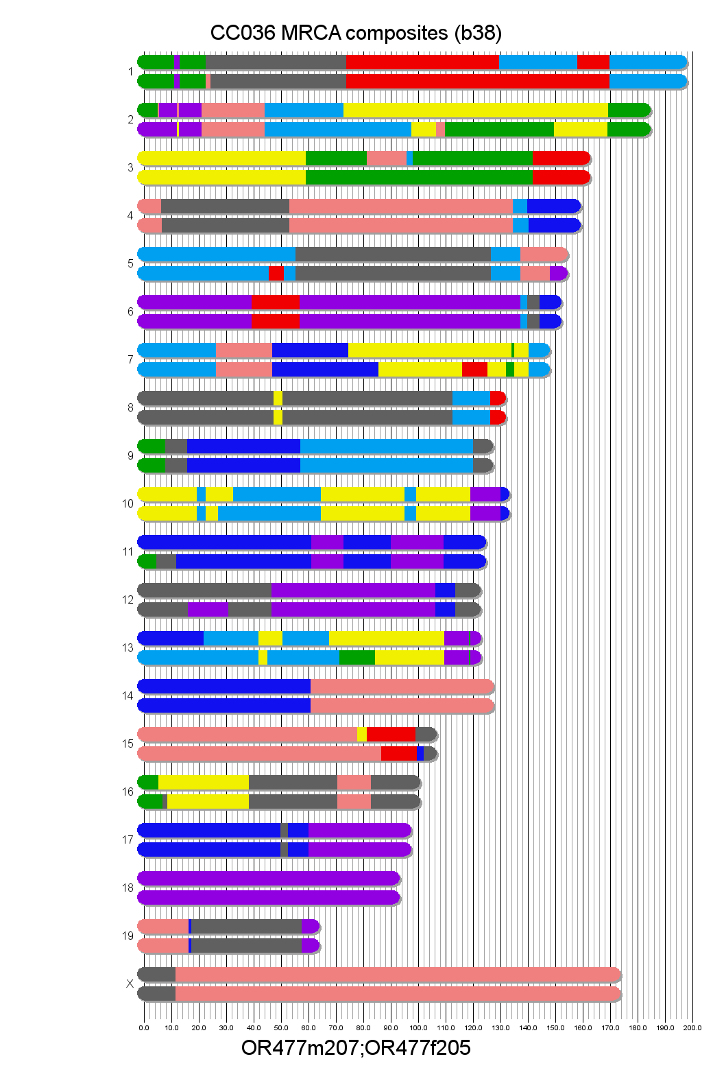 Collaborative Cross Genomes