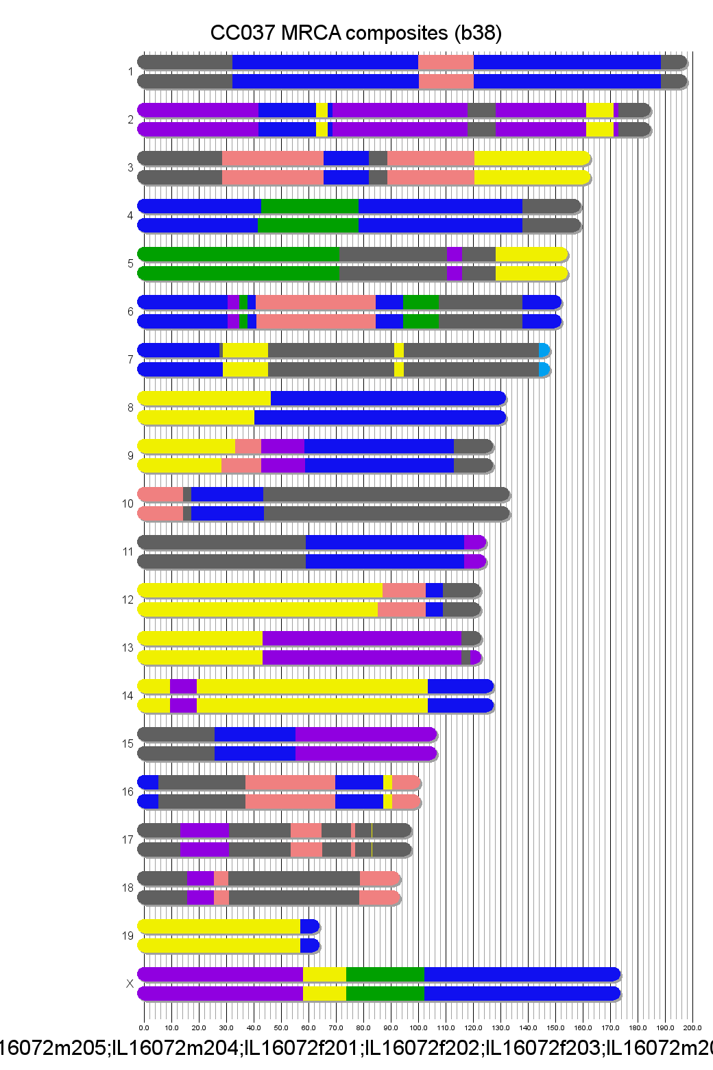 Collaborative Cross Genomes