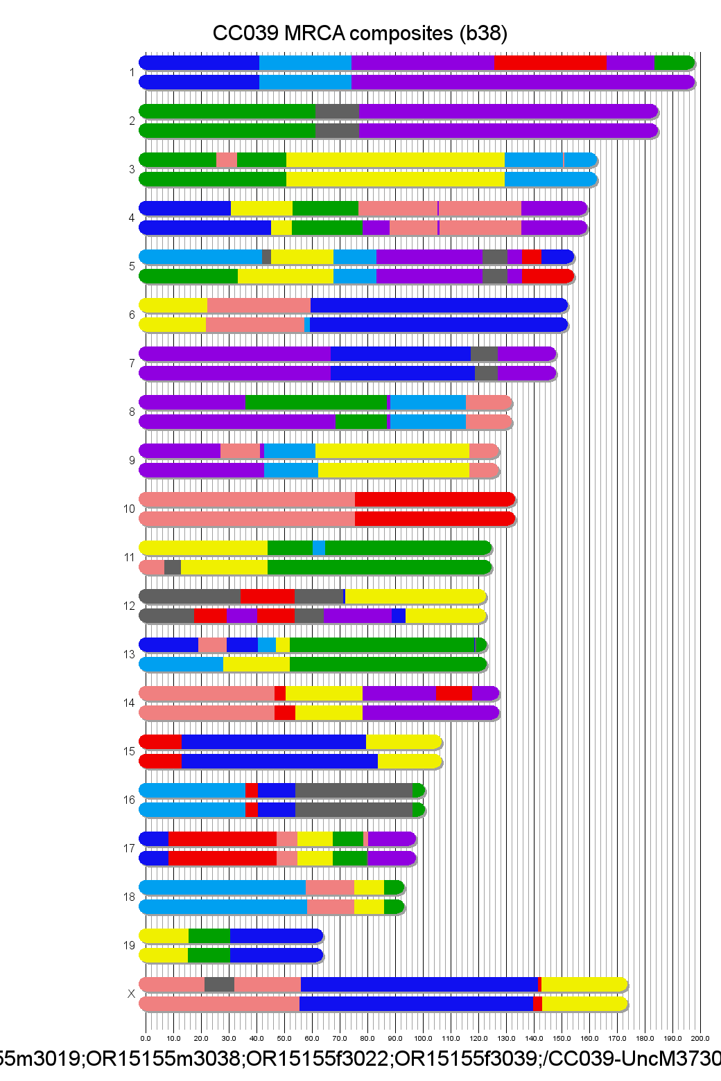 Collaborative Cross Genomes