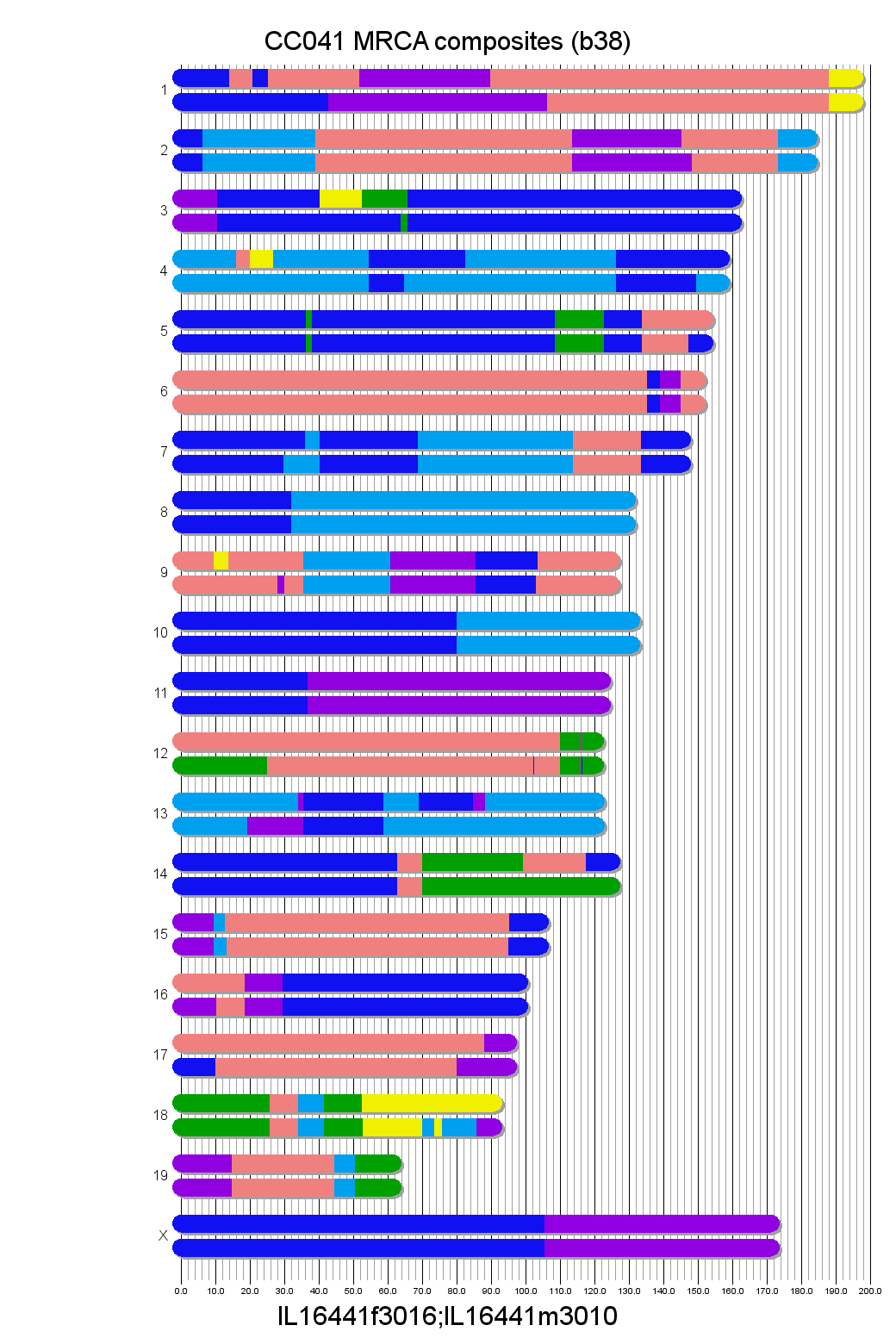 Collaborative Cross Genomes