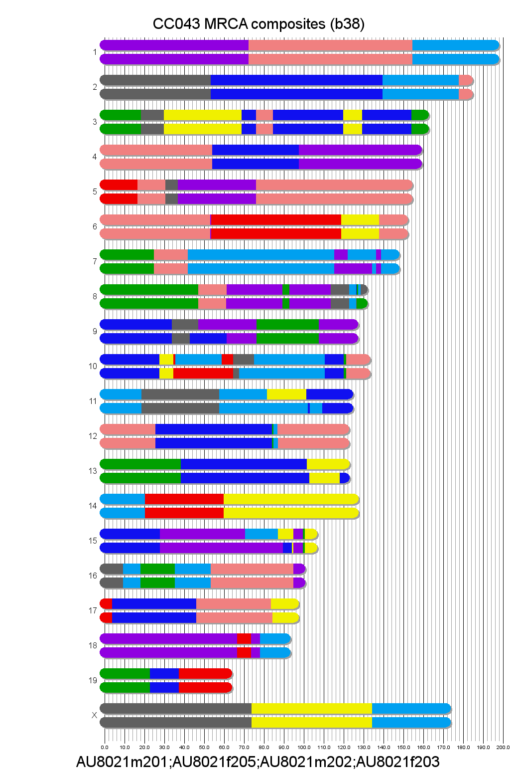 Collaborative Cross Genomes