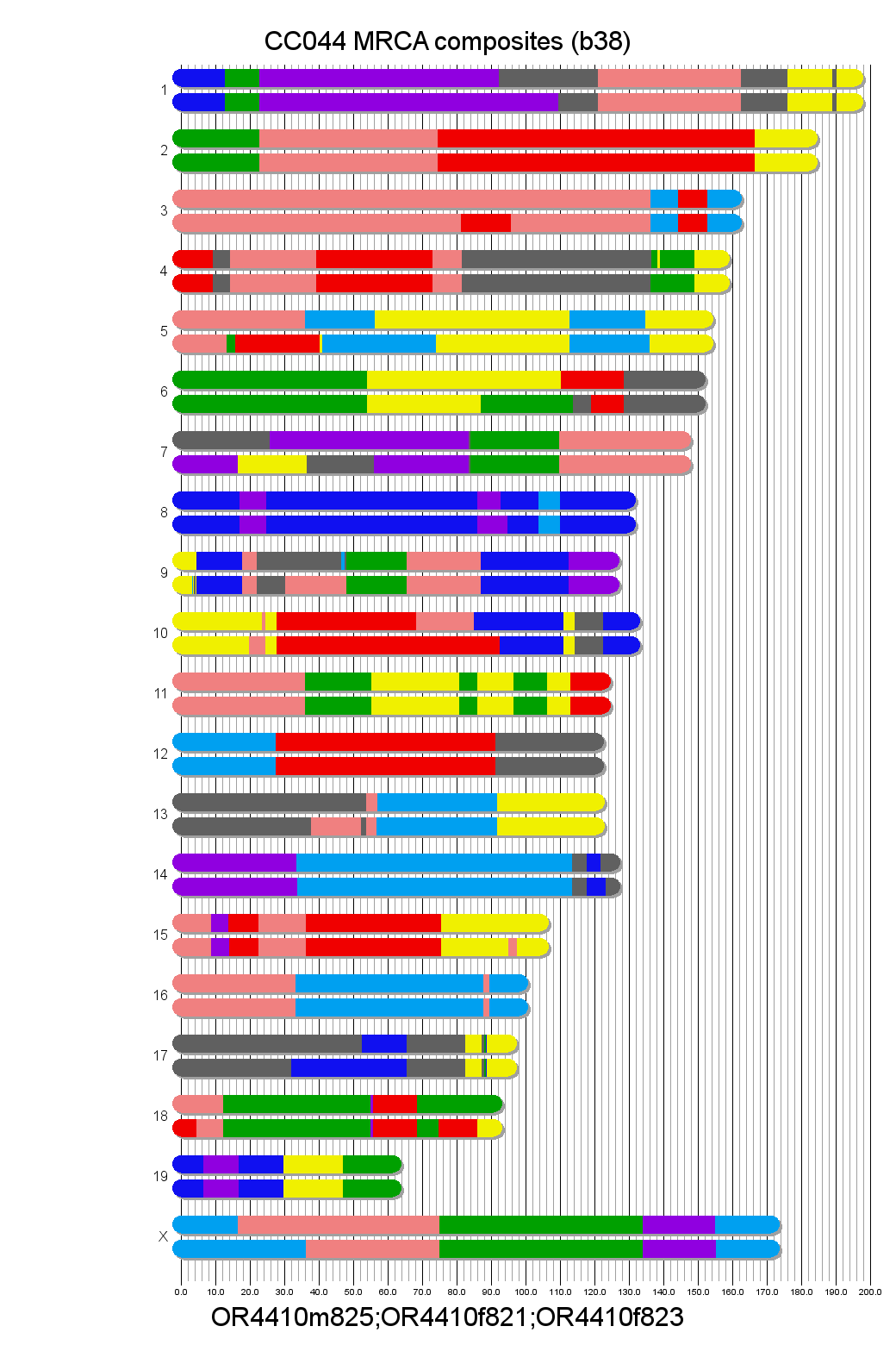 Collaborative Cross Genomes