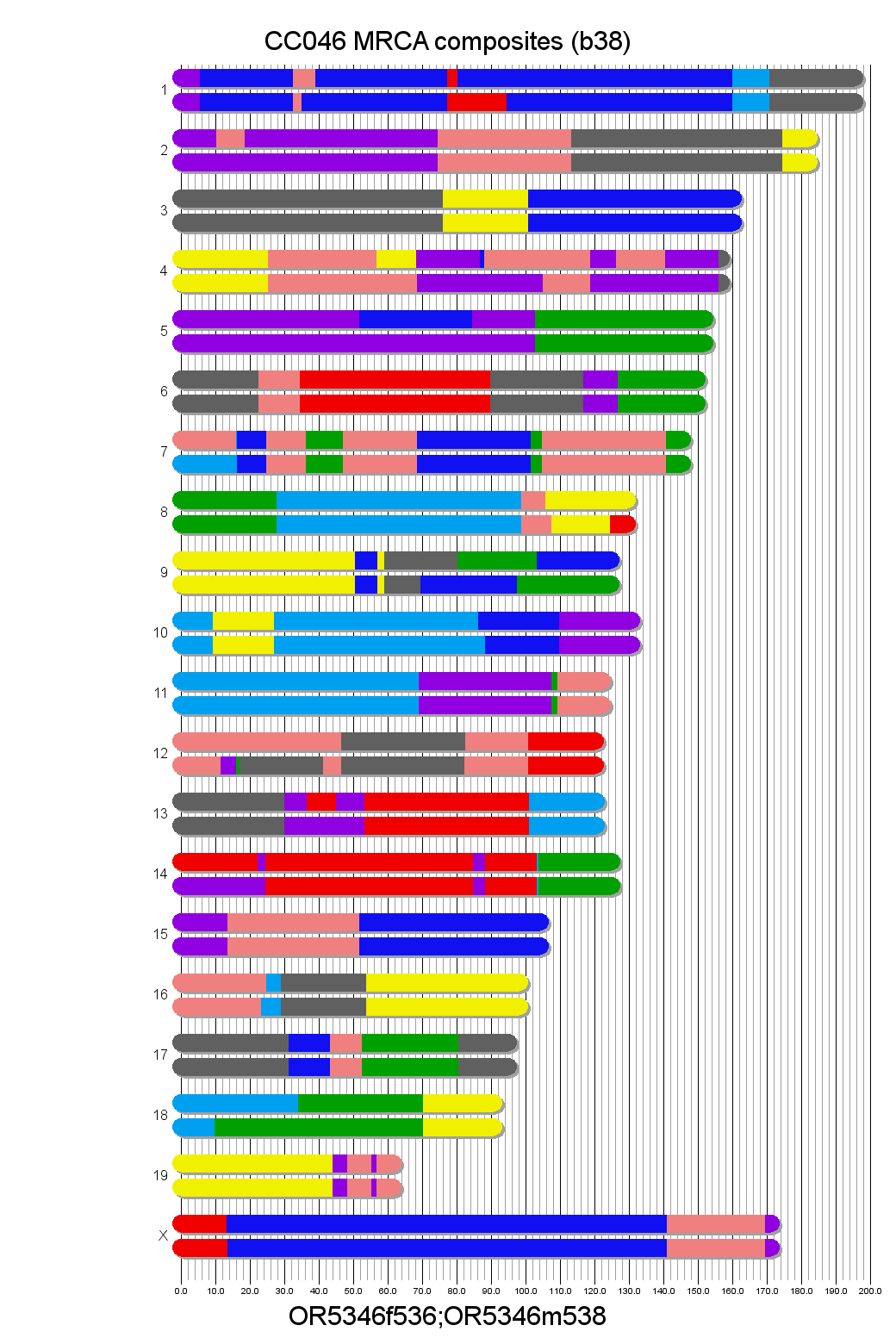 Collaborative Cross Genomes