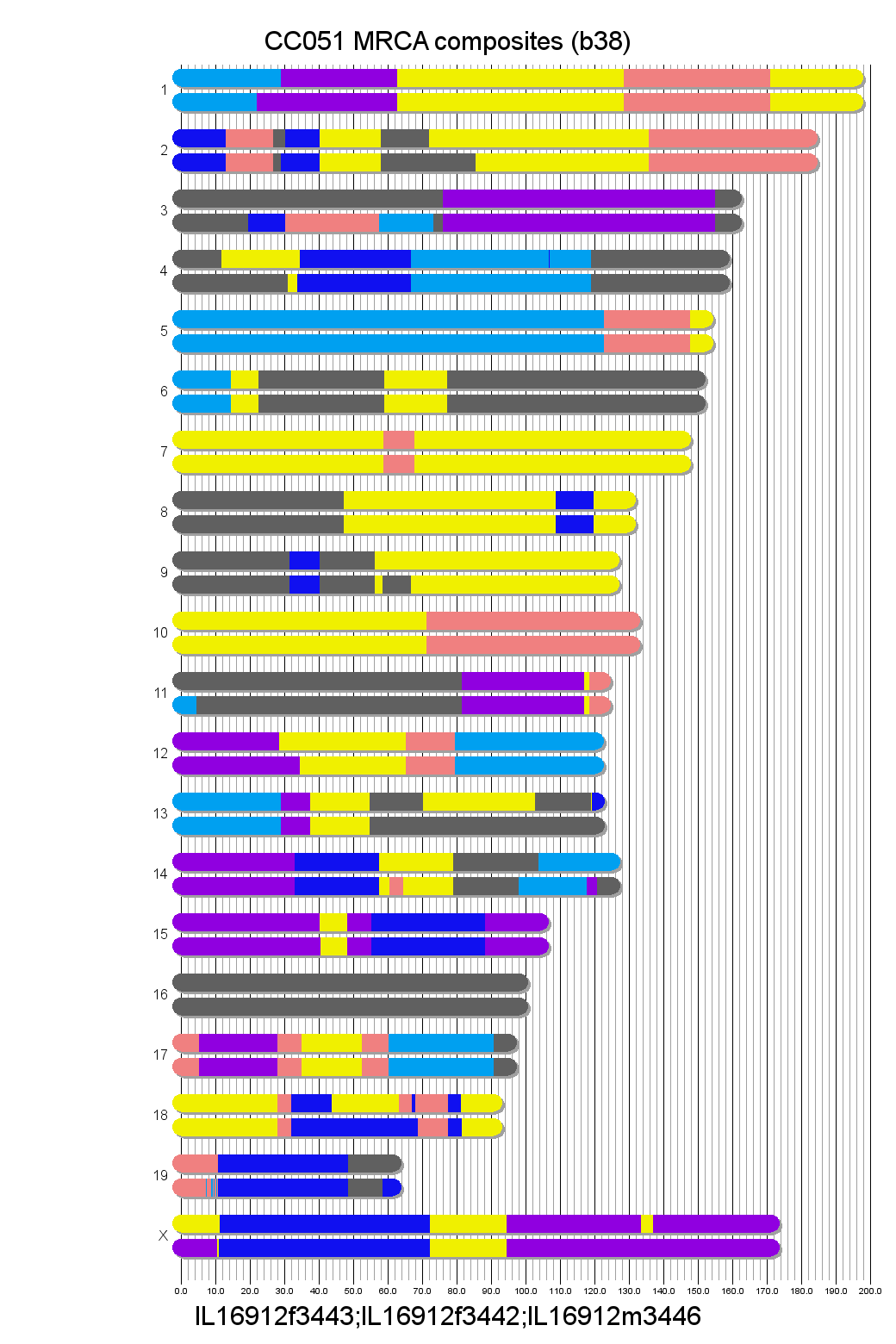Collaborative Cross Genomes